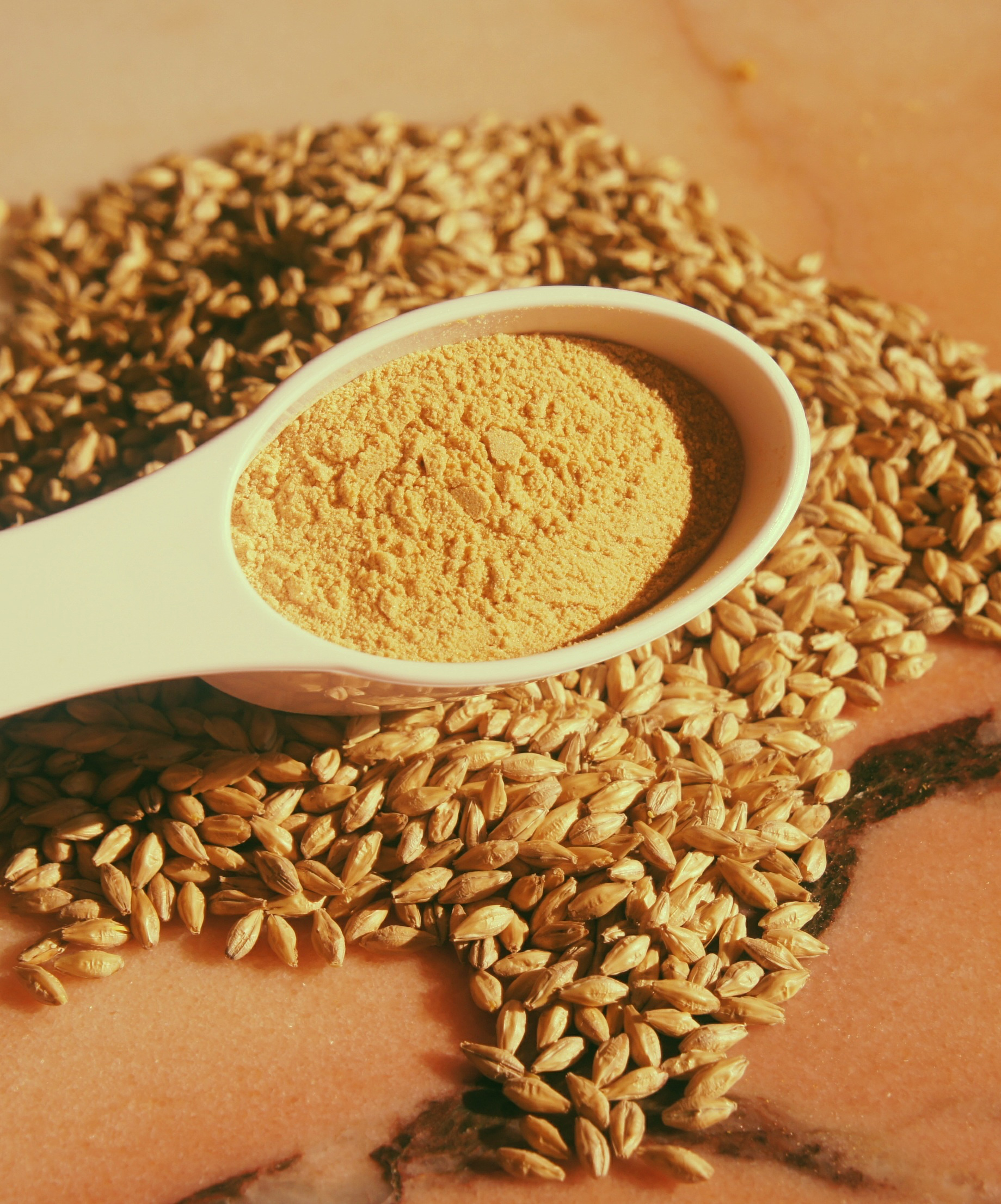 Malt - www.mlgfoodingredients.com